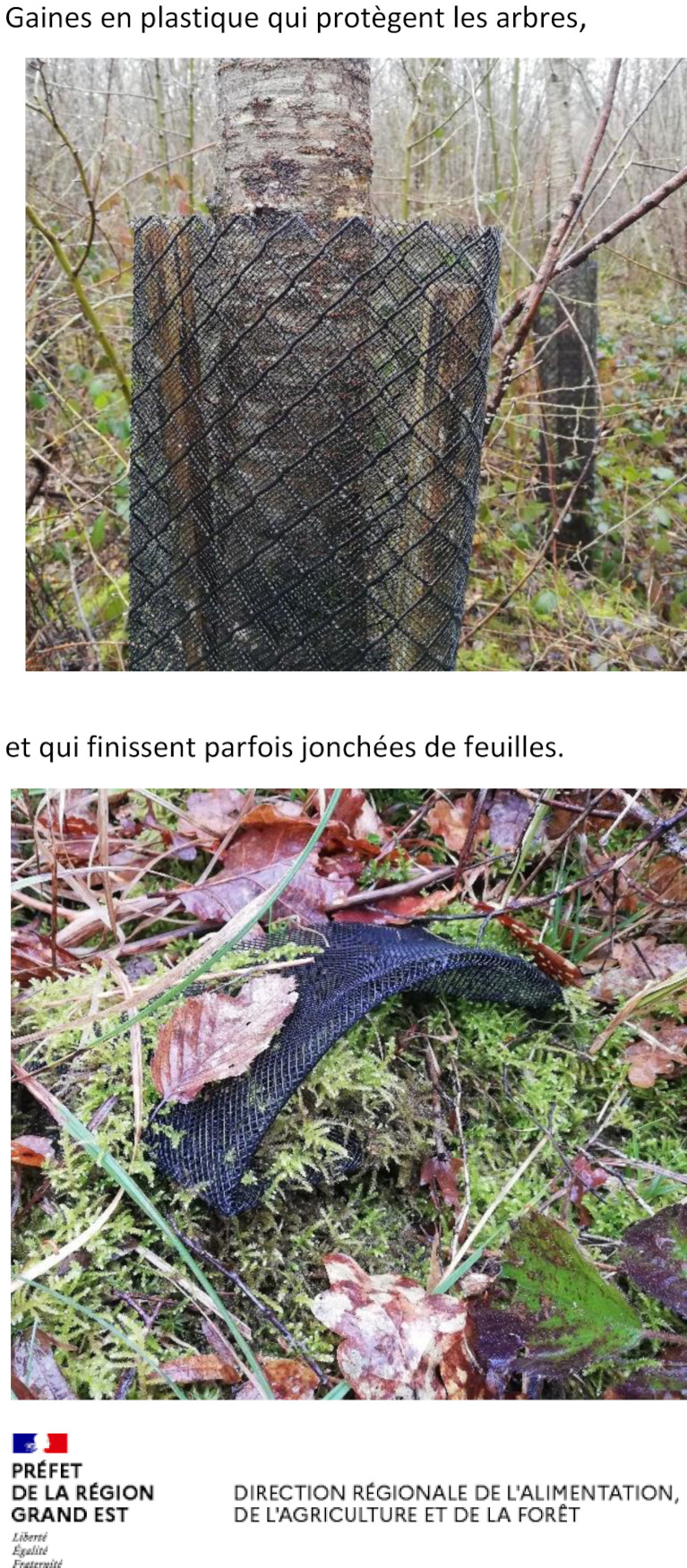 Protections contre le gibier
